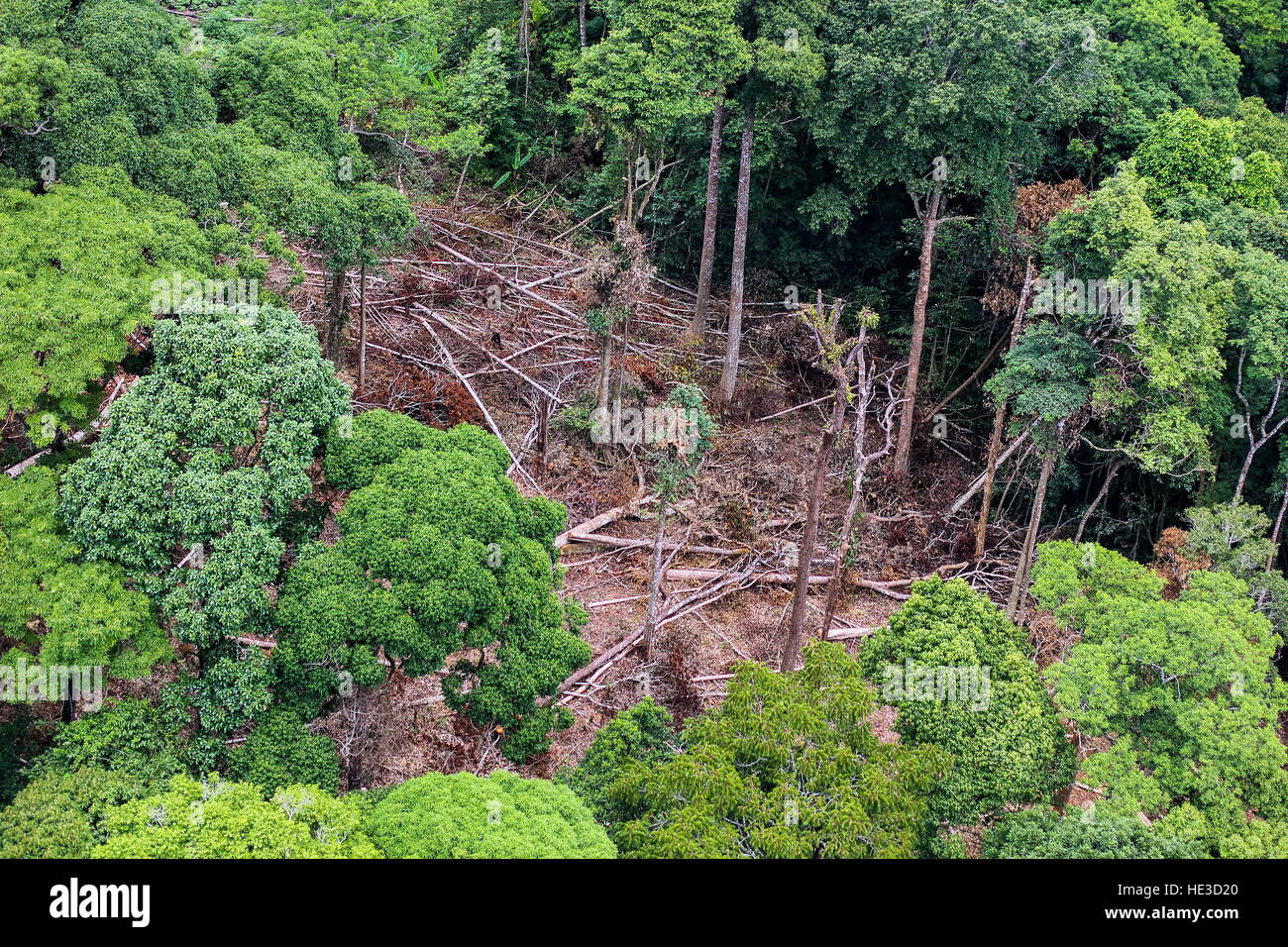 forest destruction in thailand form Aerial view Stock Photo - Alamy