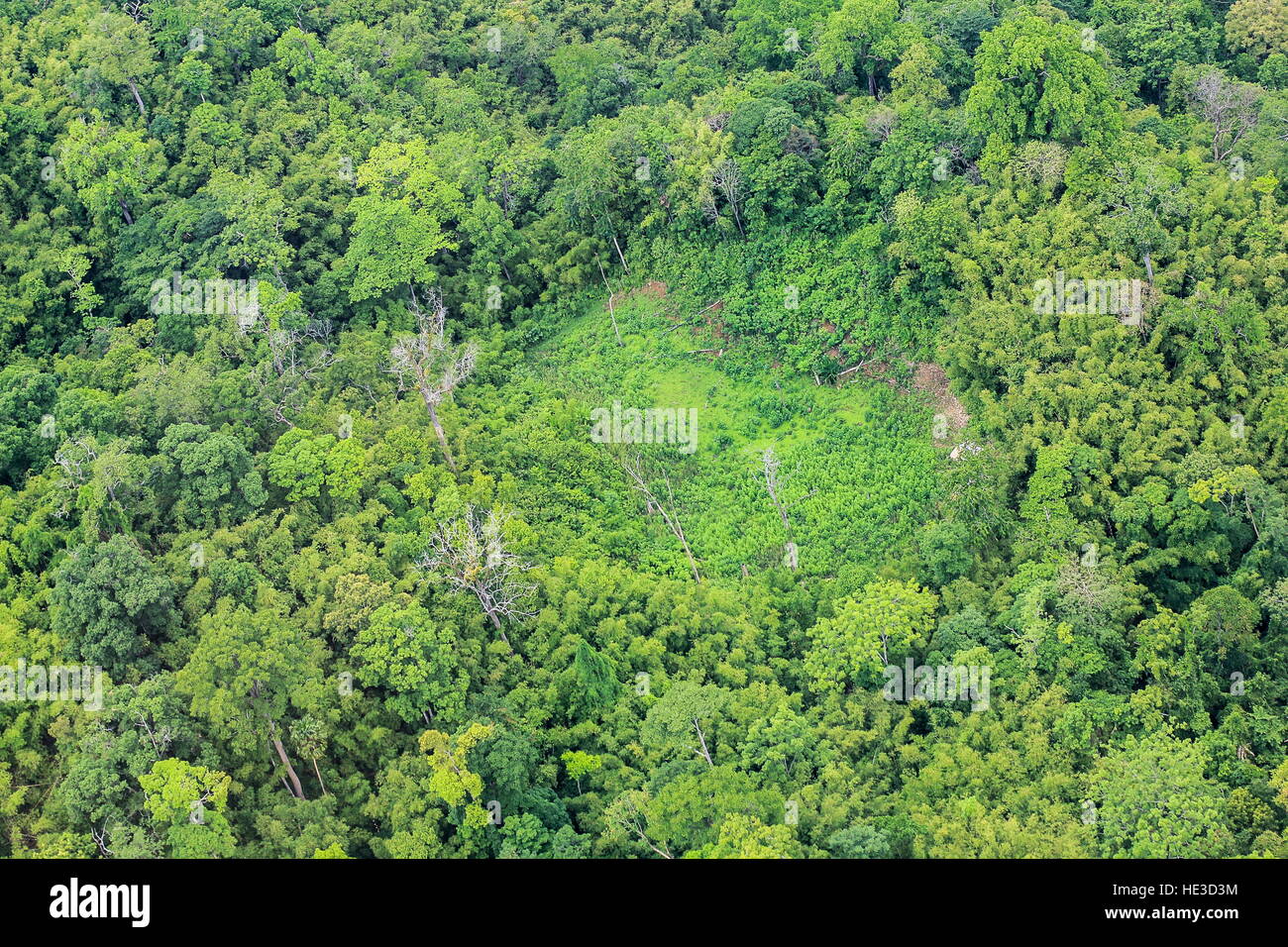 forest destruction in thailand form Aerial view Stock Photo - Alamy