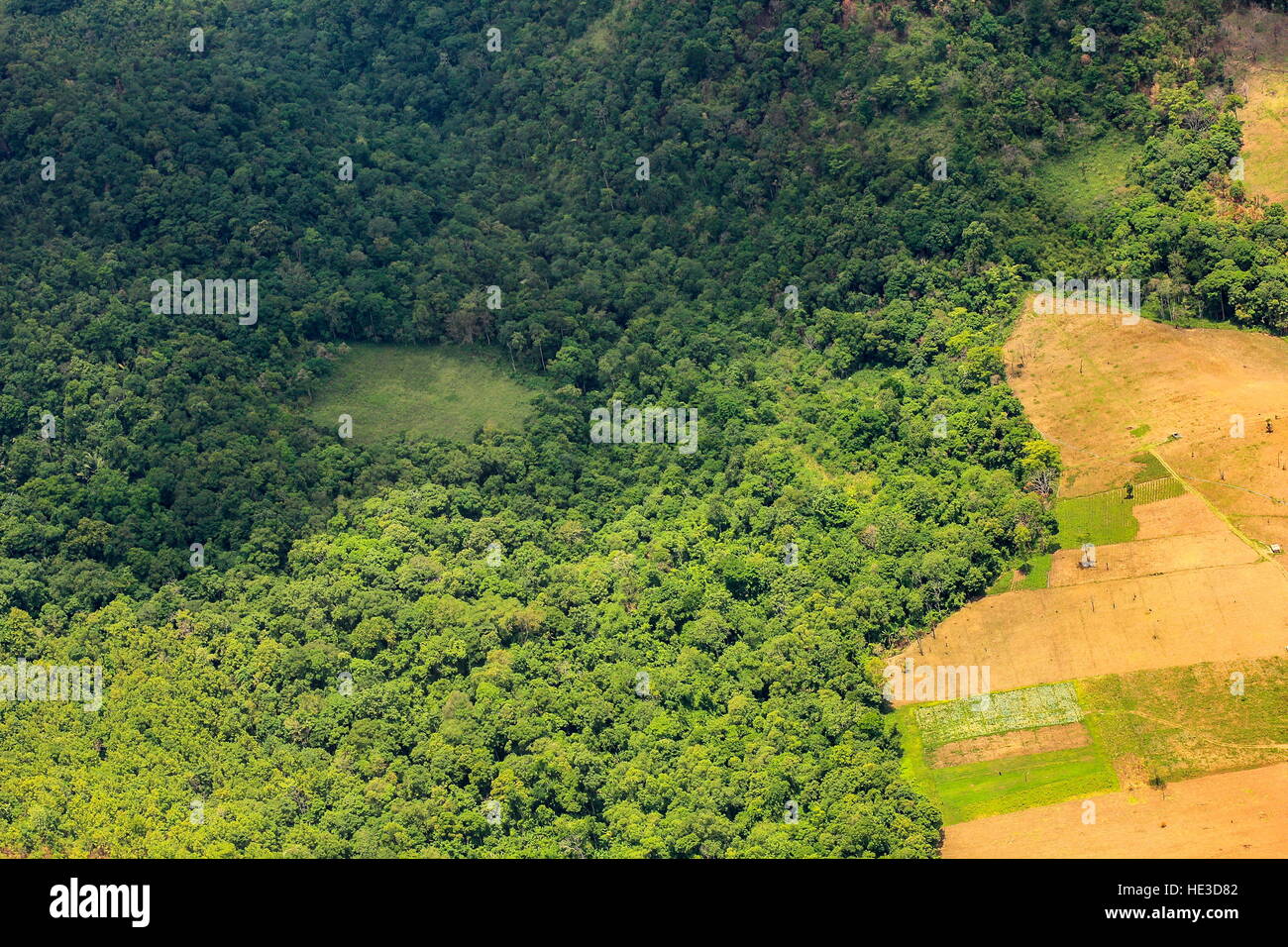 forest destruction in thailand form Aerial view Stock Photo - Alamy