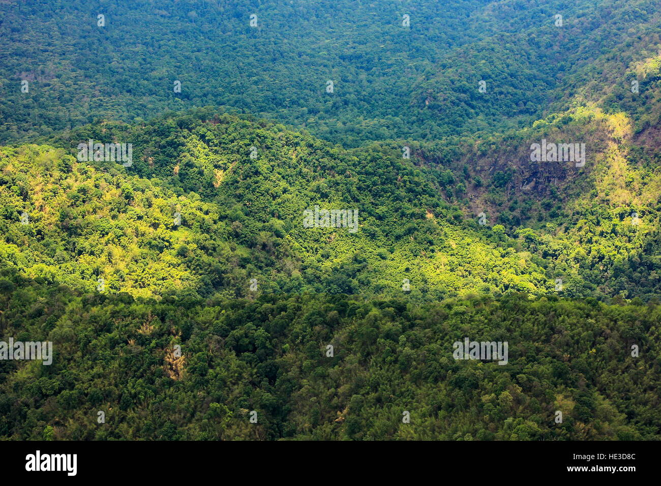 aerial view of the forest Stock Photo - Alamy