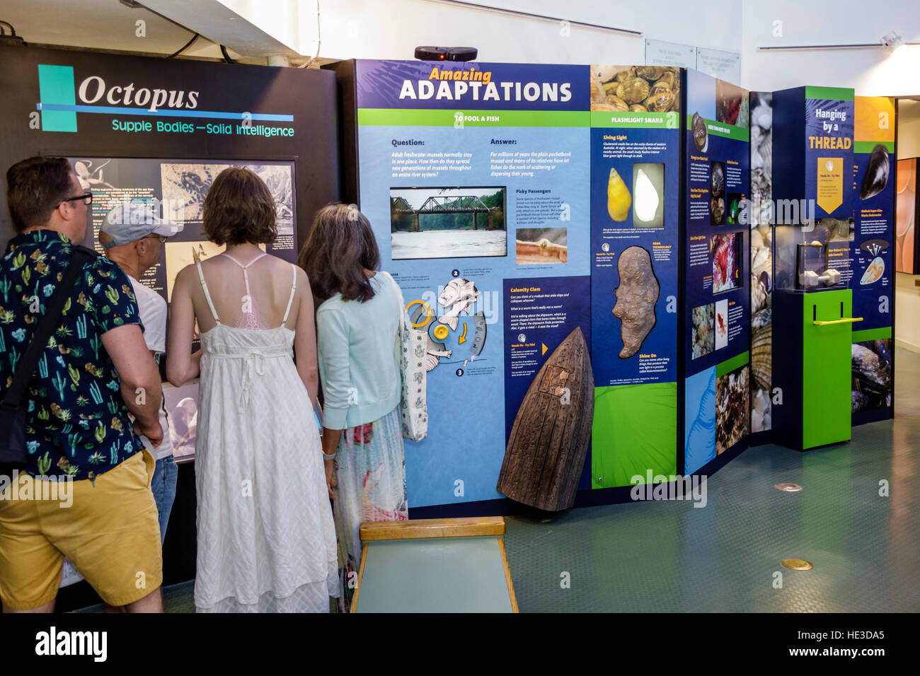 Florida,South,Sanibel Barrier Island,Bailey-Matthews National Shell ...
