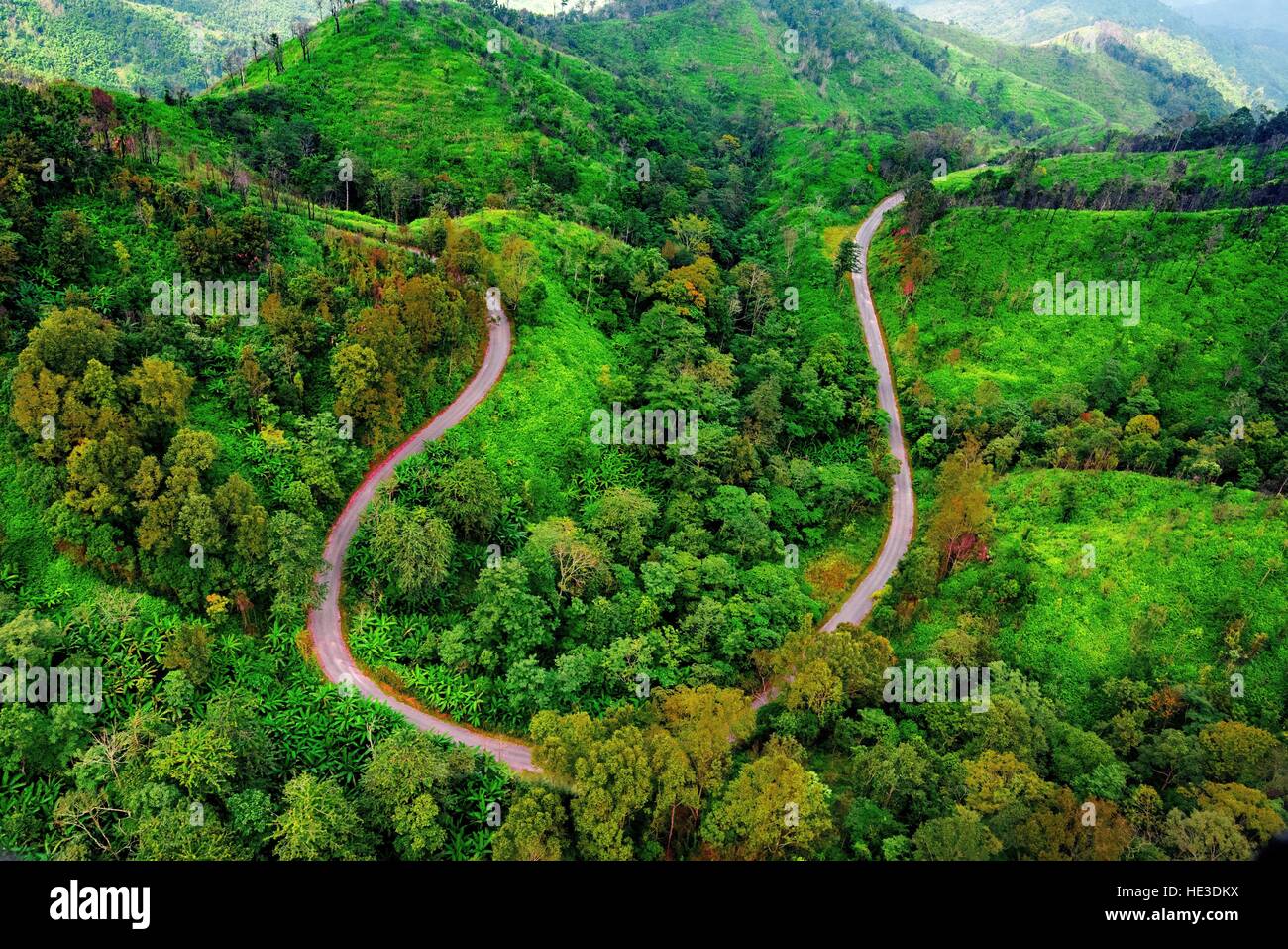 Aerial view over mountain road going through forest landscape Stock ...