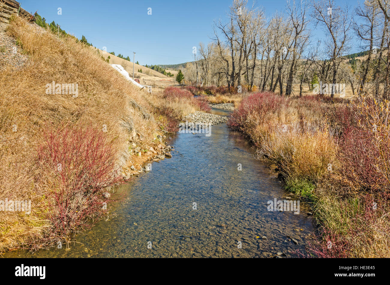 Grasses bordering rivers hi-res stock photography and images - Alamy