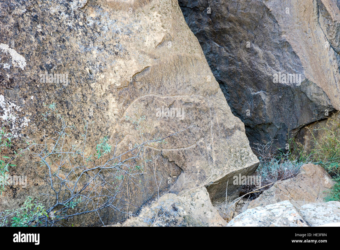 Ancient petroglyph drawings on the rocks in Gobustan, Azerbaijan Stock ...