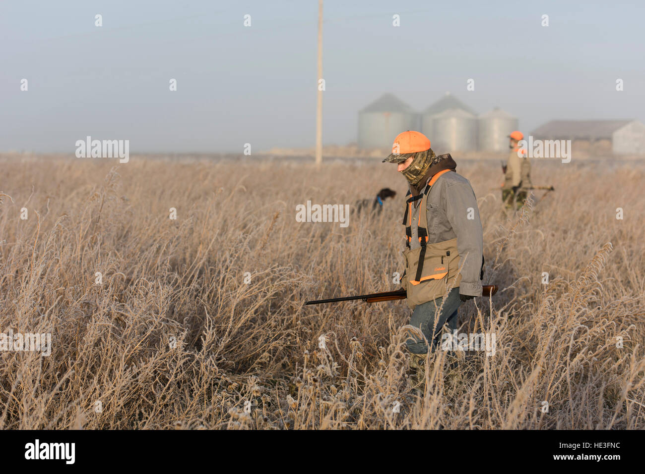 Young hunter out Pheasant Hunting Stock Photo - Alamy