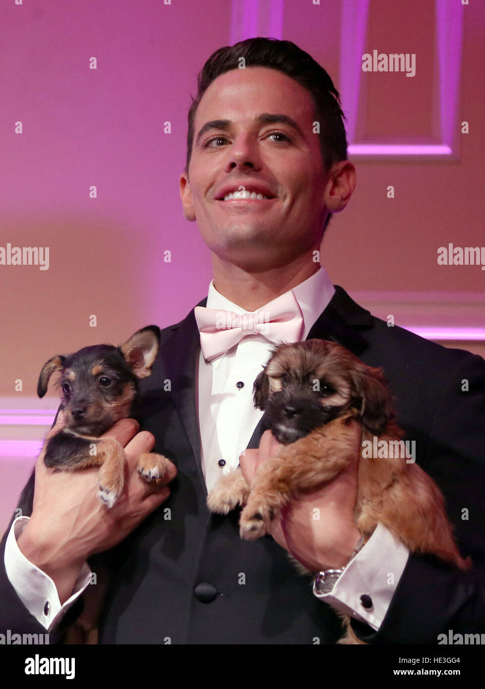 1st Annual Vanderpump Dog Foundation Gala! Inside and Performances ...