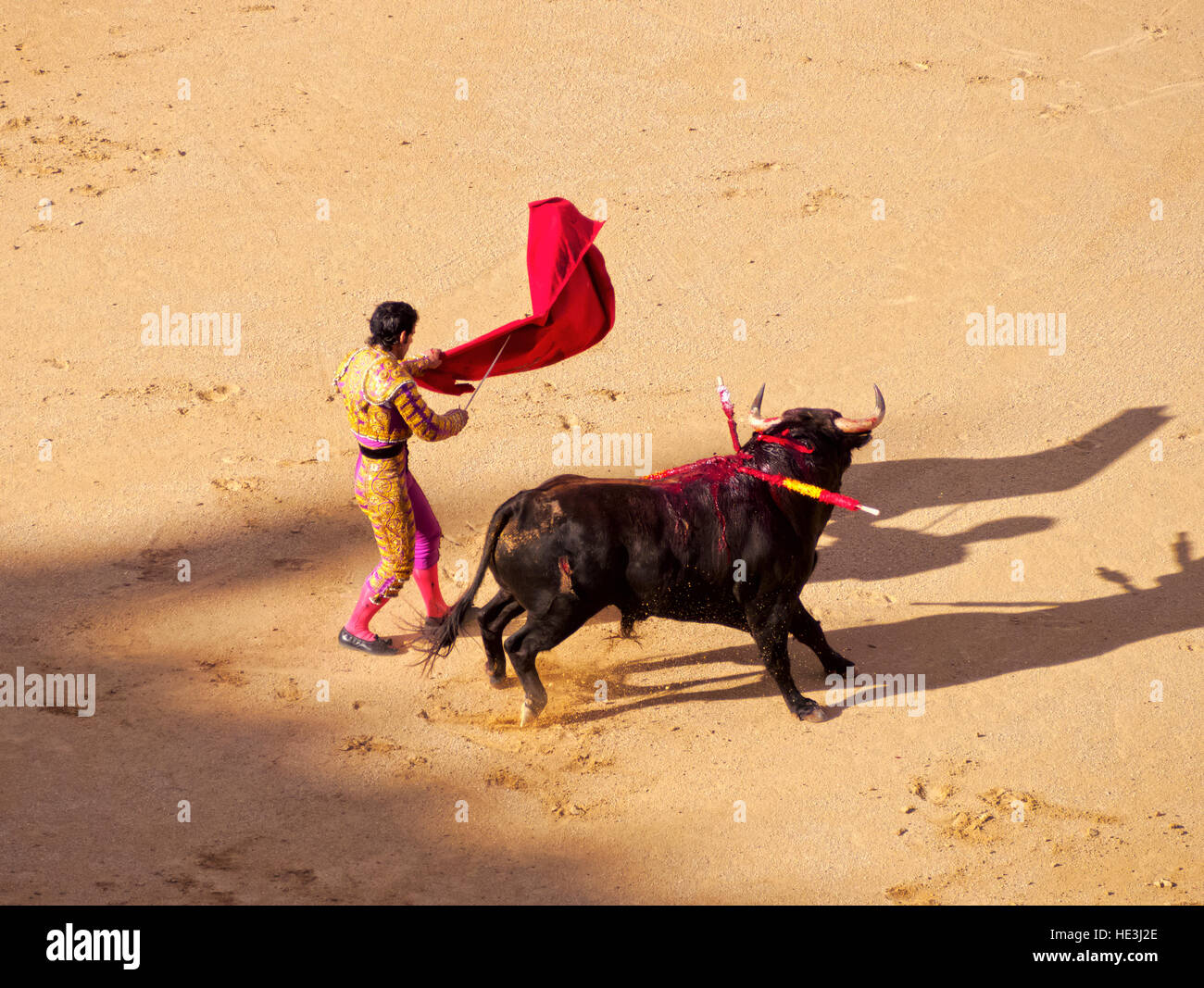 Spain, Madrid, Bullfighting Novillada Picada on the Bullring Plaza de ...
