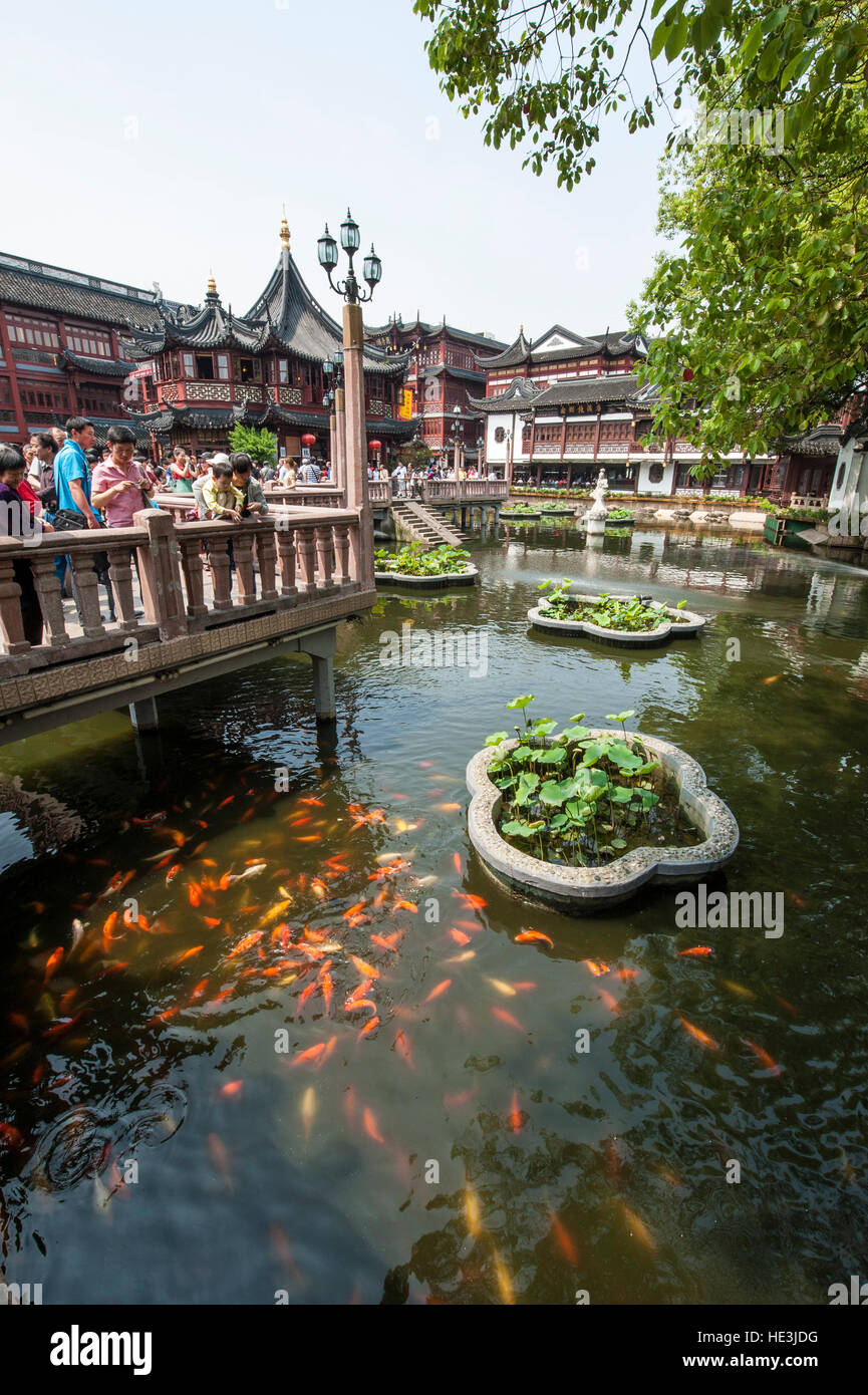 Koi carp fish pond Chenghuang Miao City God Temple Shanghai, China ...