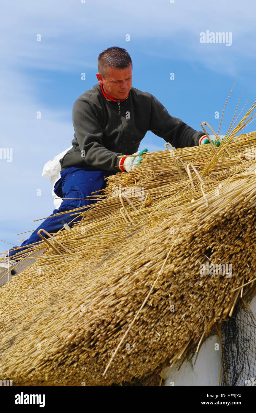 Thatchers thatching thatch hi-res stock photography and images - Alamy