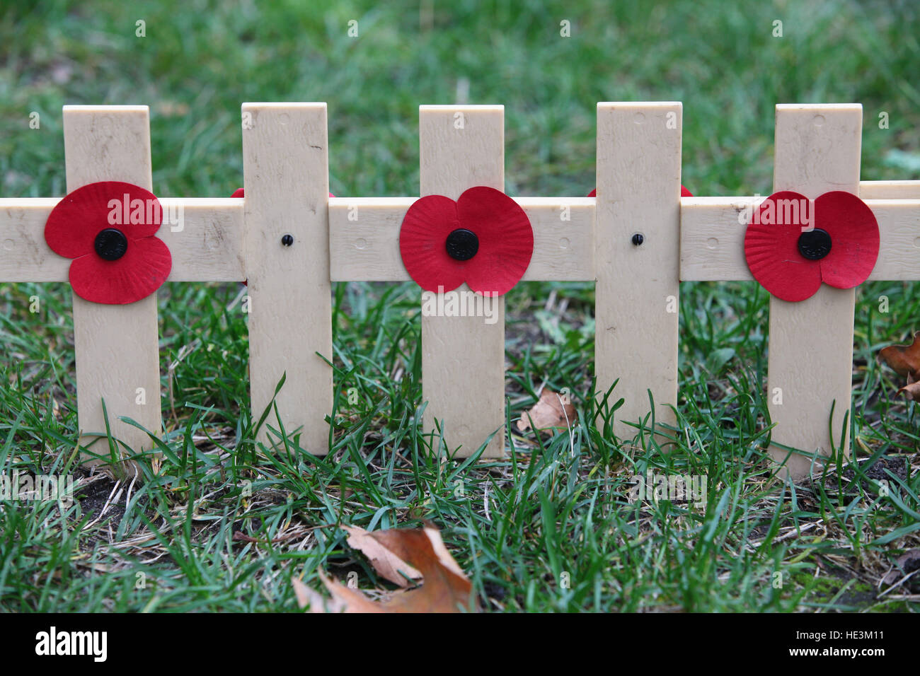 Members of the British Armed Forces hold a Remembrance Field Service at ...
