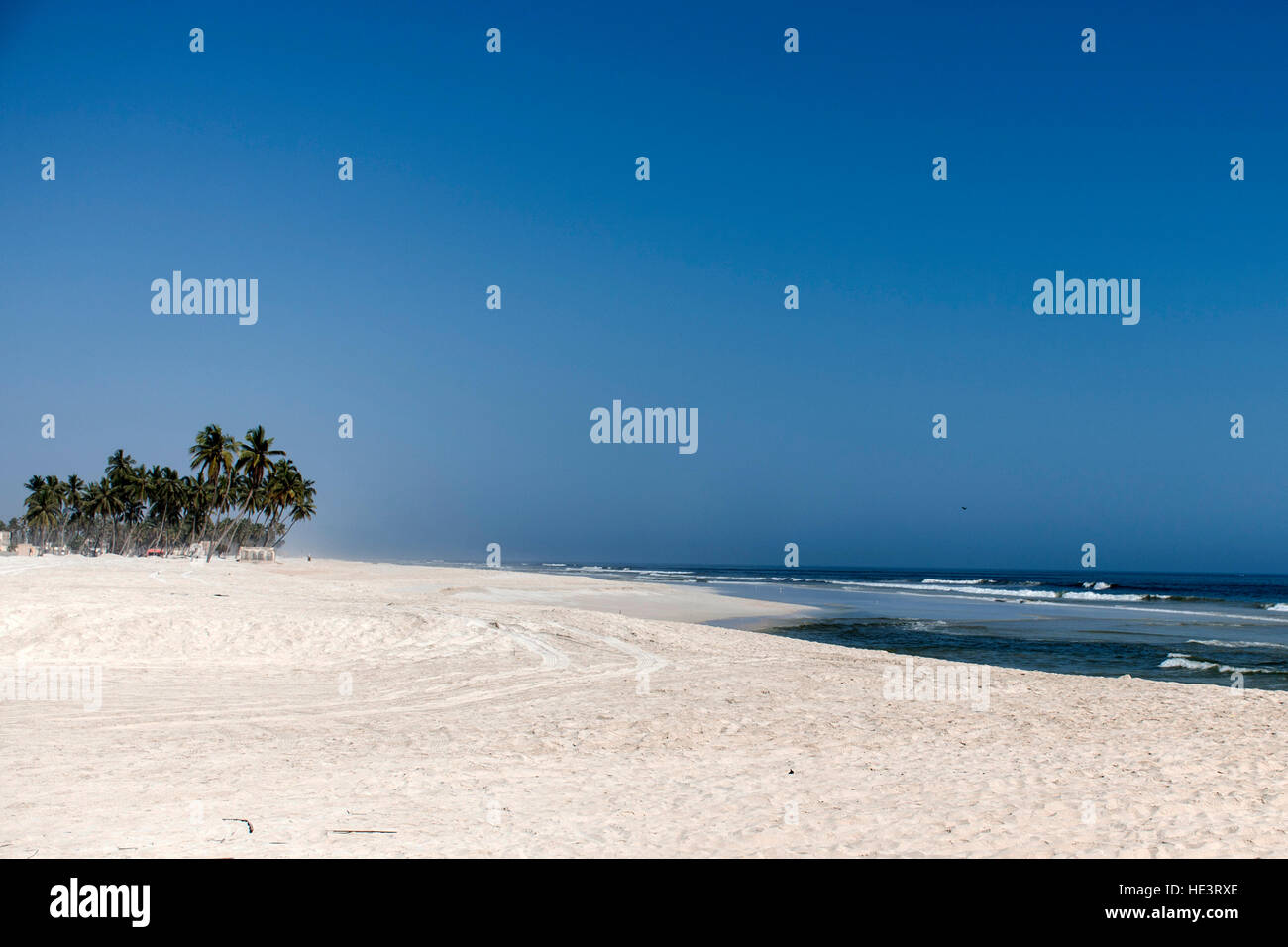 sandy beautiful beach sky and palm with waves in oman arabic sea ocean ...