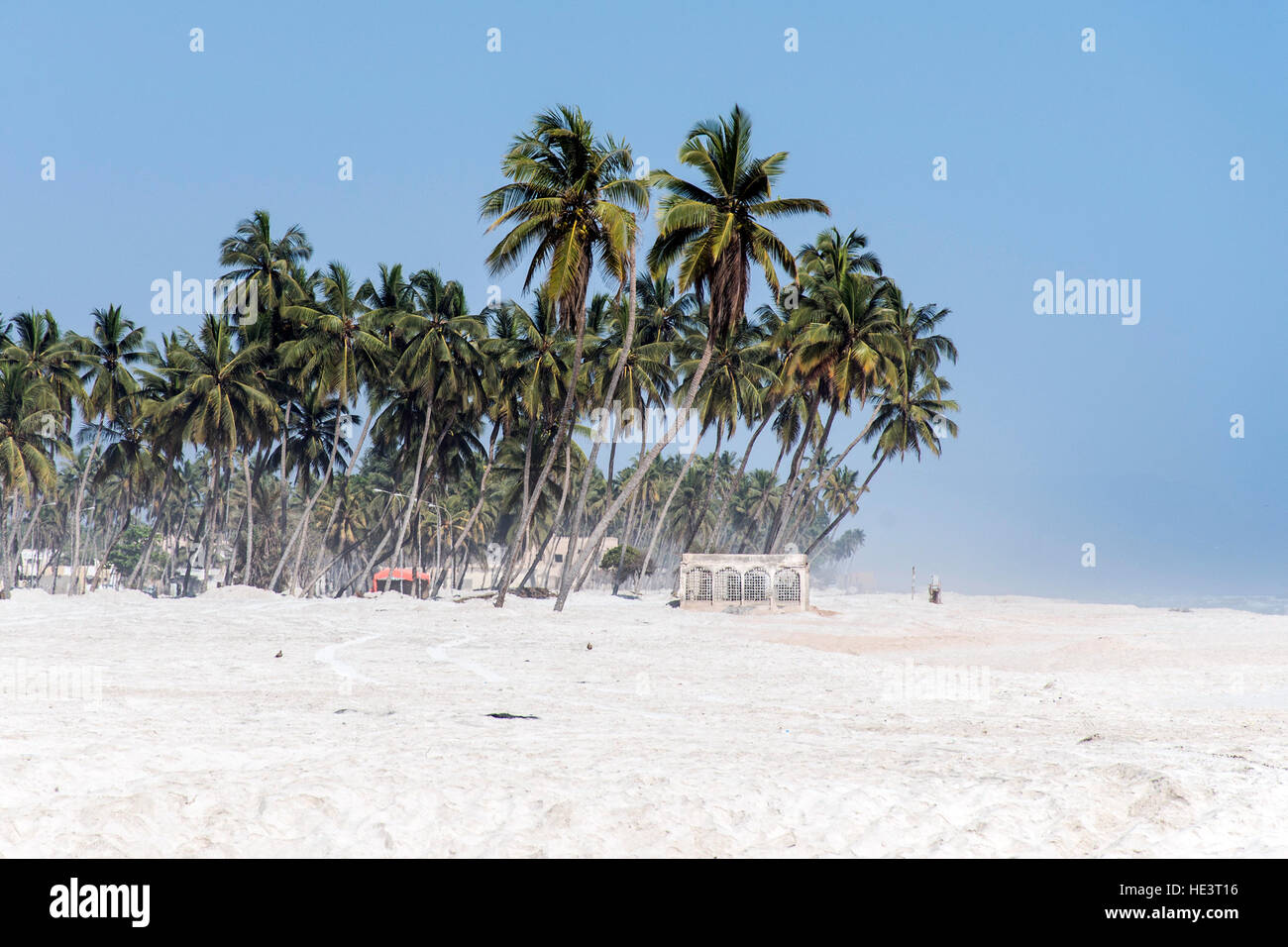 sandy beautiful beach with dusty sky and palm oman arabic sea ocean ...