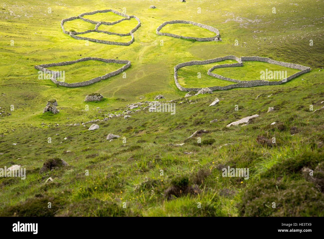 Old stone wall sheep enclosures, Hiorta, St kilda, Outer Hebrides ...