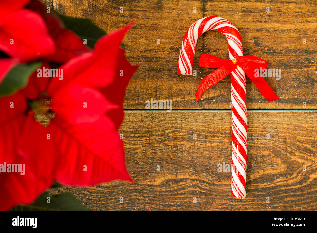 Candy cane plant hi-res stock photography and images - Alamy