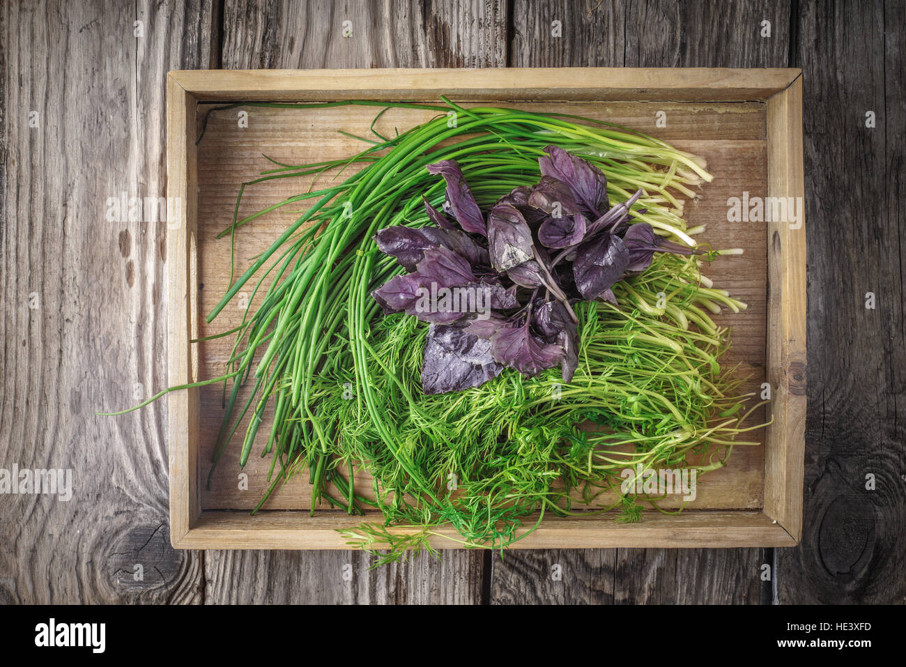 Farmers herb basil, dill, onions in a wooden box horizontal Stock Photo ...