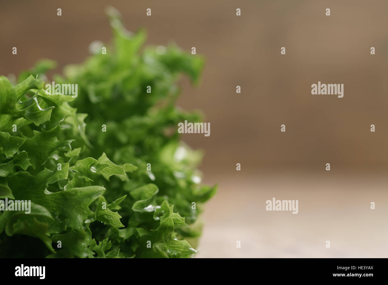 Frisee frise green lettuce table wood hi-res stock photography and ...