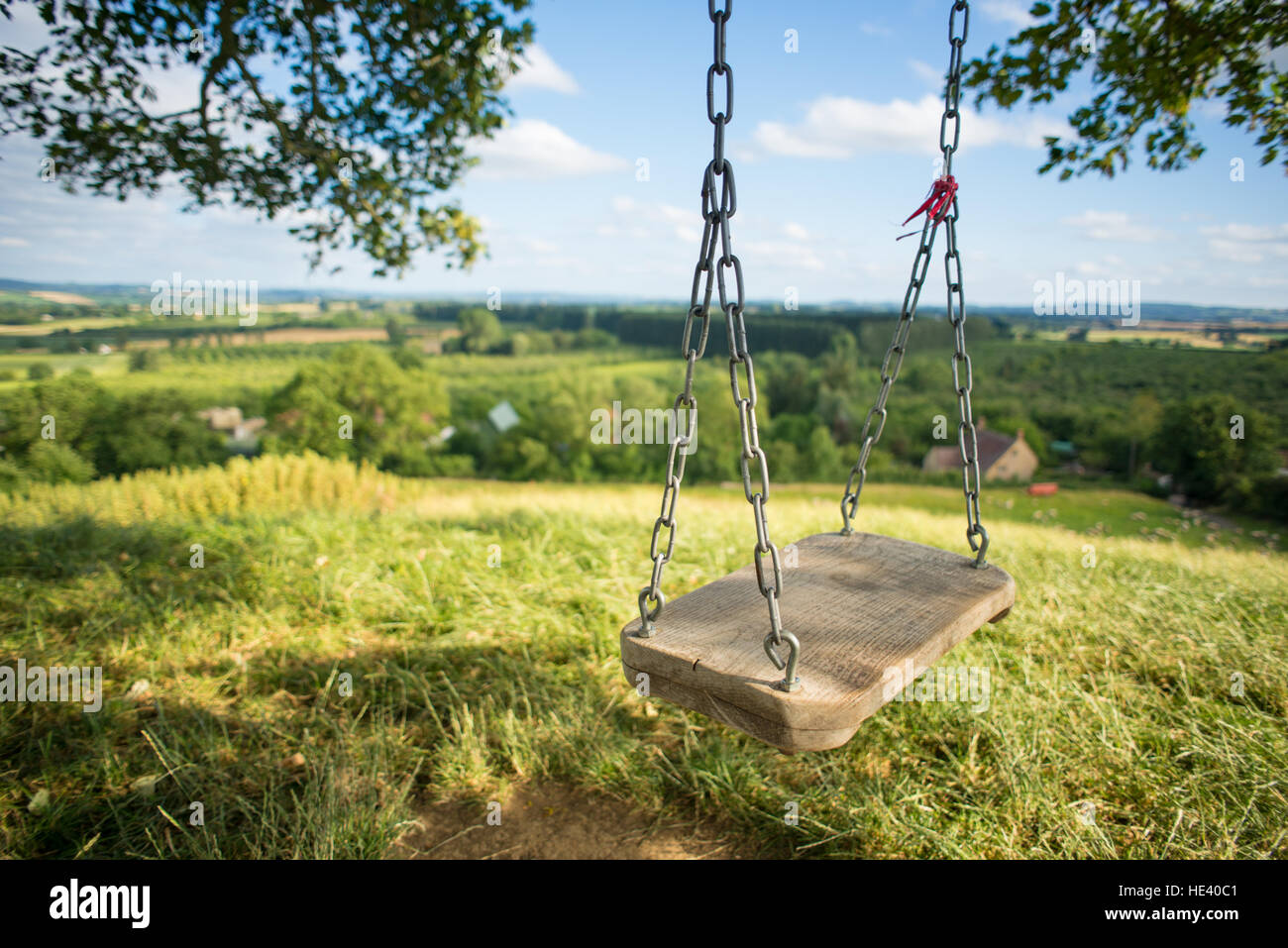 Burrow Hill Tree High Resolution Stock Photography and Images - Alamy