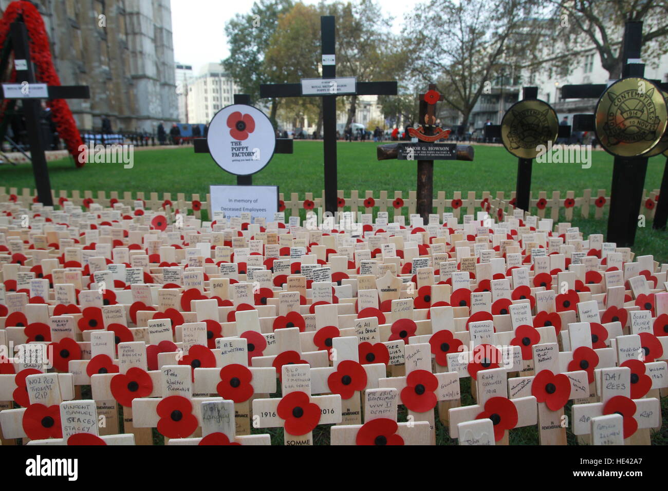 Members of the Royal Family attend the Westminster Abbey Field of ...