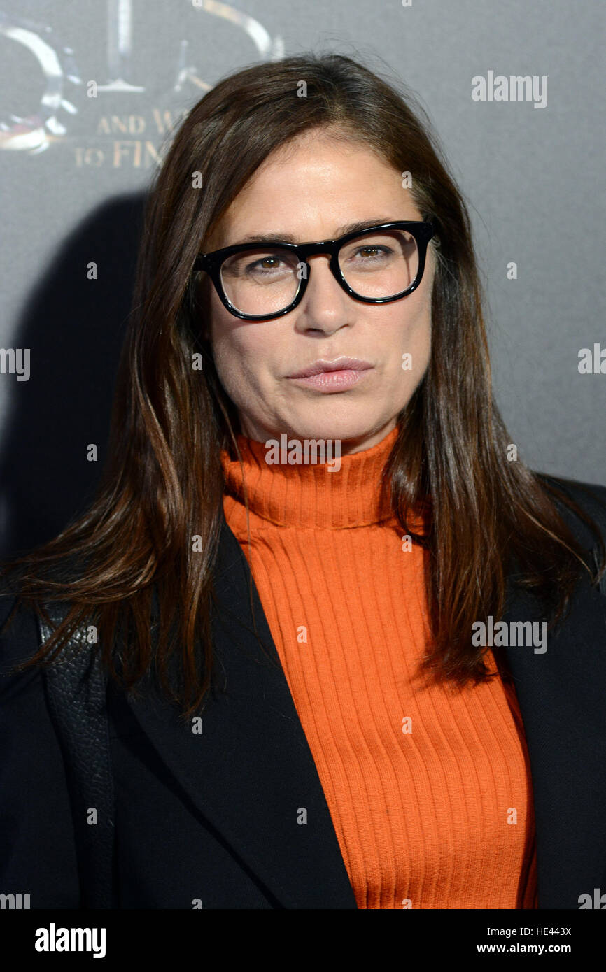 Fantastic Beasts And Where To Find Them World Premiere at Alice Tully ...