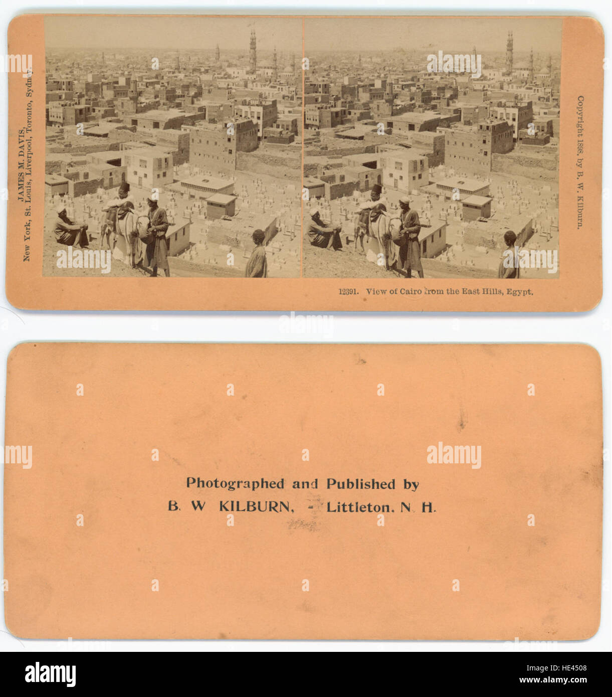 This historical stereoview shows a panoramic view of Cairo from the ...