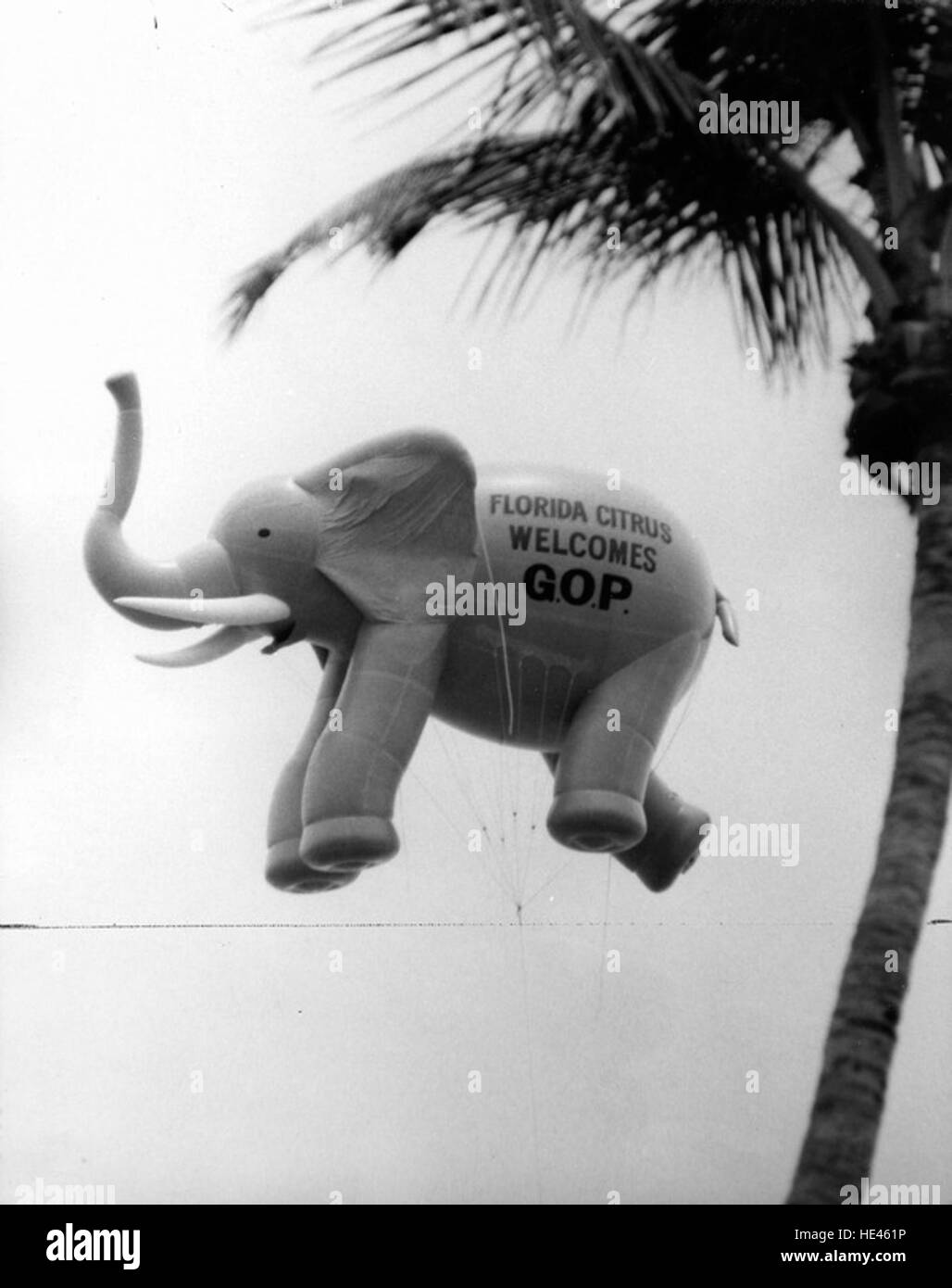 Elephant 'flies' over the convention center - Miami Beach Stock Photo ...