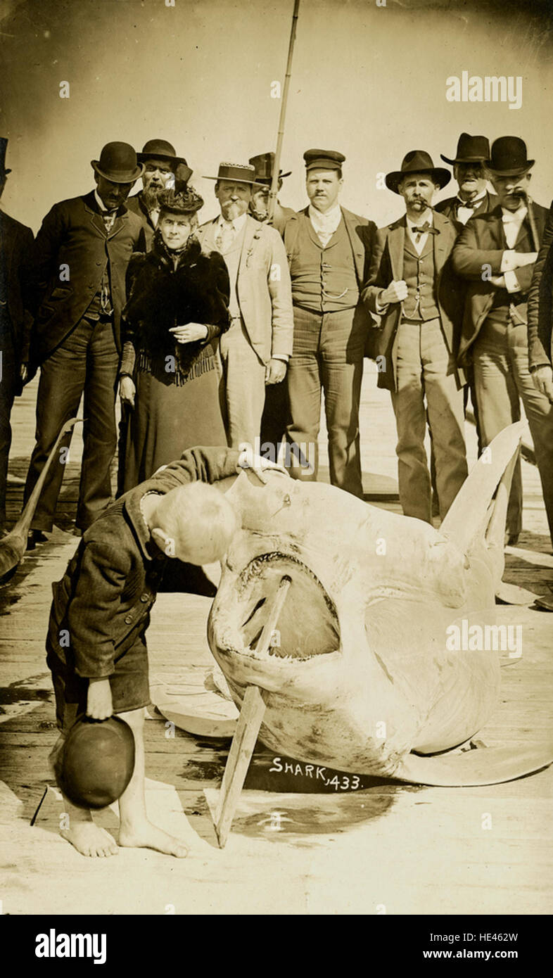 This historic image captures a crowd gathered around a 433 lb ...