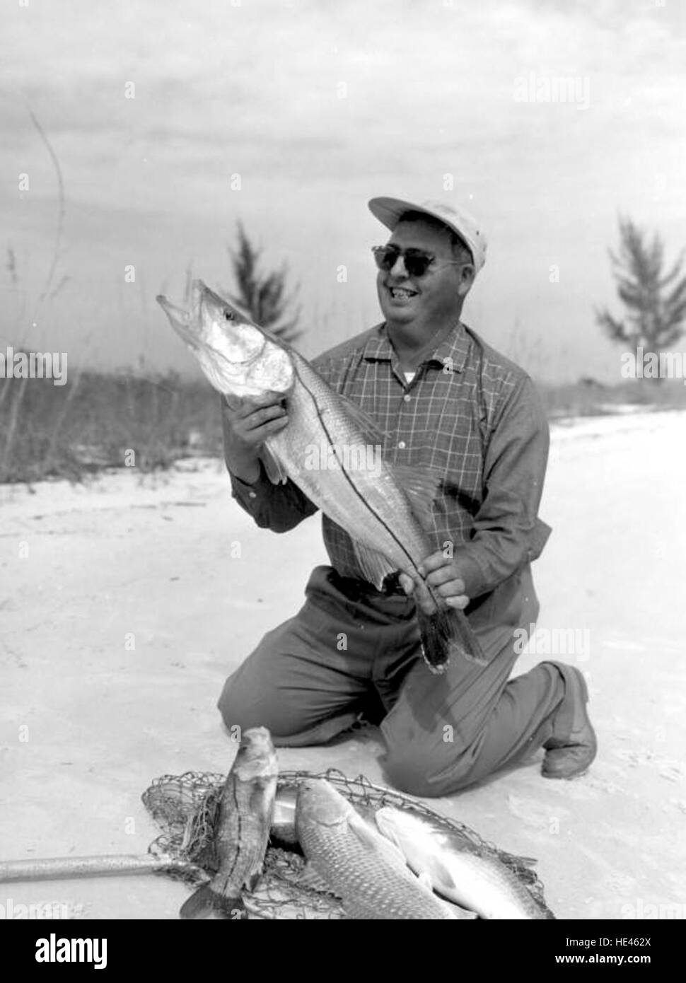 Roy Martin High Resolution Stock Photography and Images - Alamy