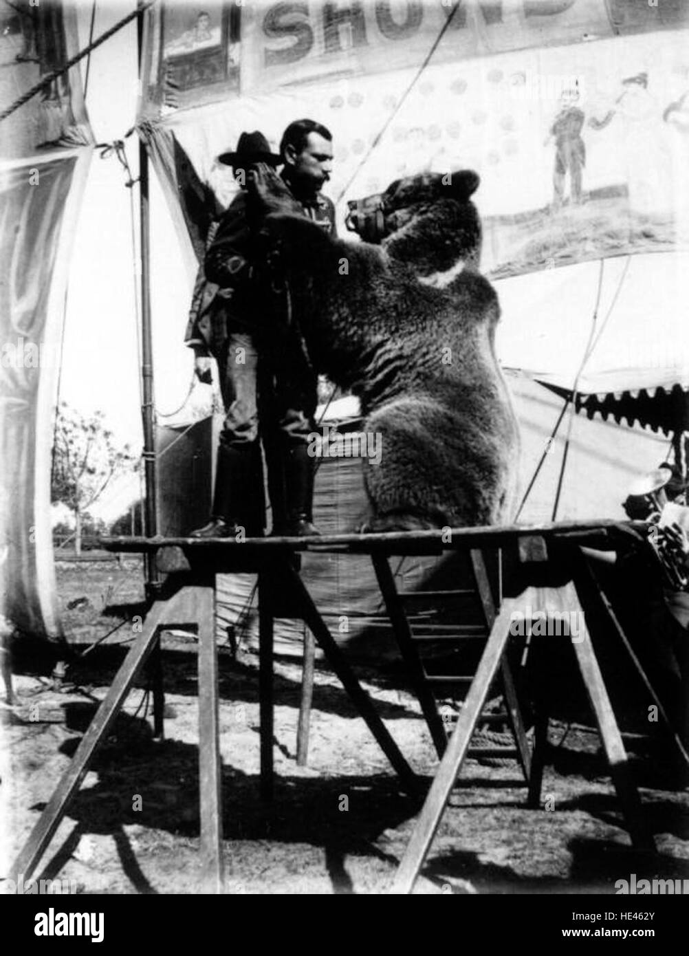 This historic image captures a circus trainer with his bear, reflecting ...