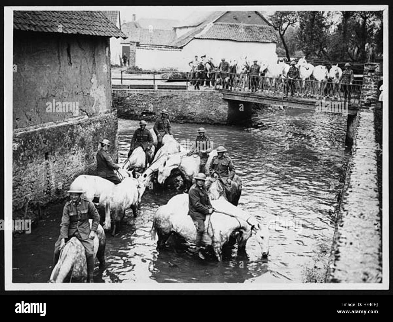 The Royal Scots Greys, a British cavalry regiment, are shown watering ...
