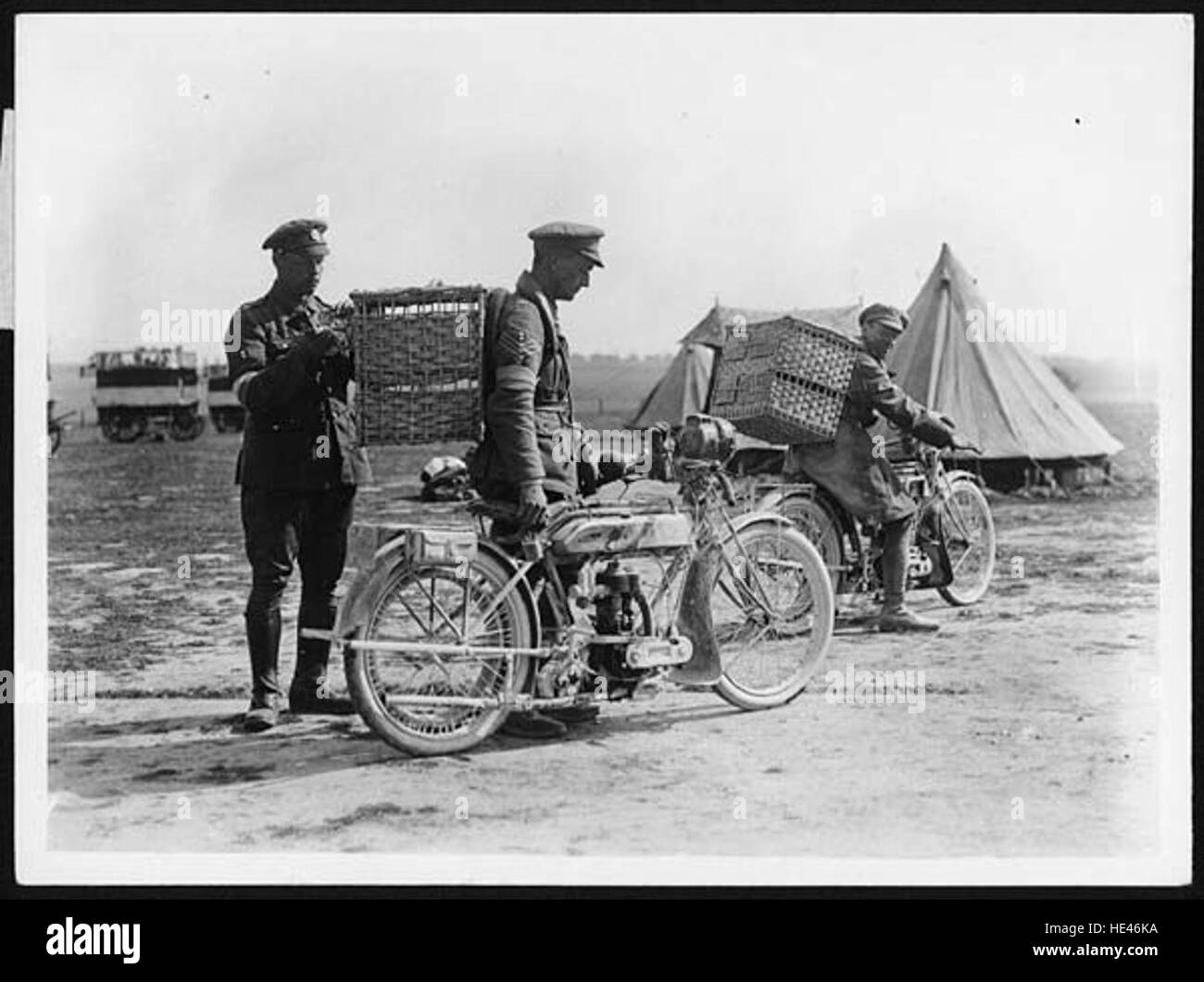 This image captures a historical scene showing how birds were ...