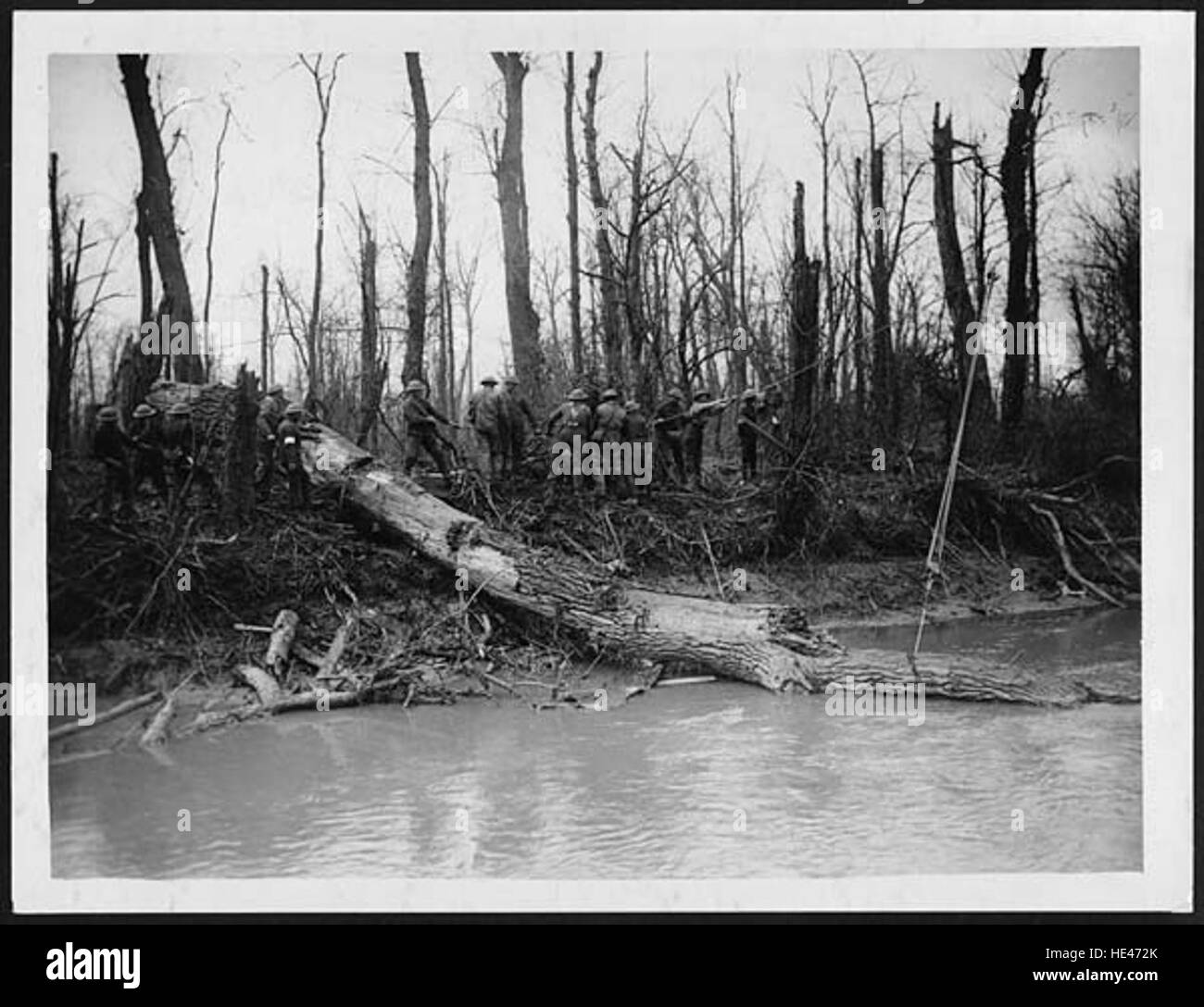 Tree farming methods hi-res stock photography and images - Alamy