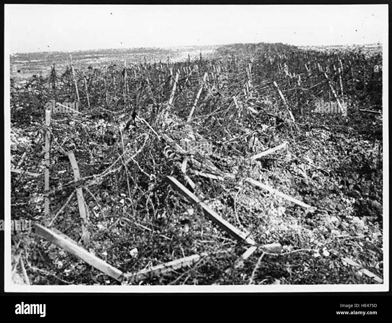 Hindenburg section hi-res stock photography and images - Alamy