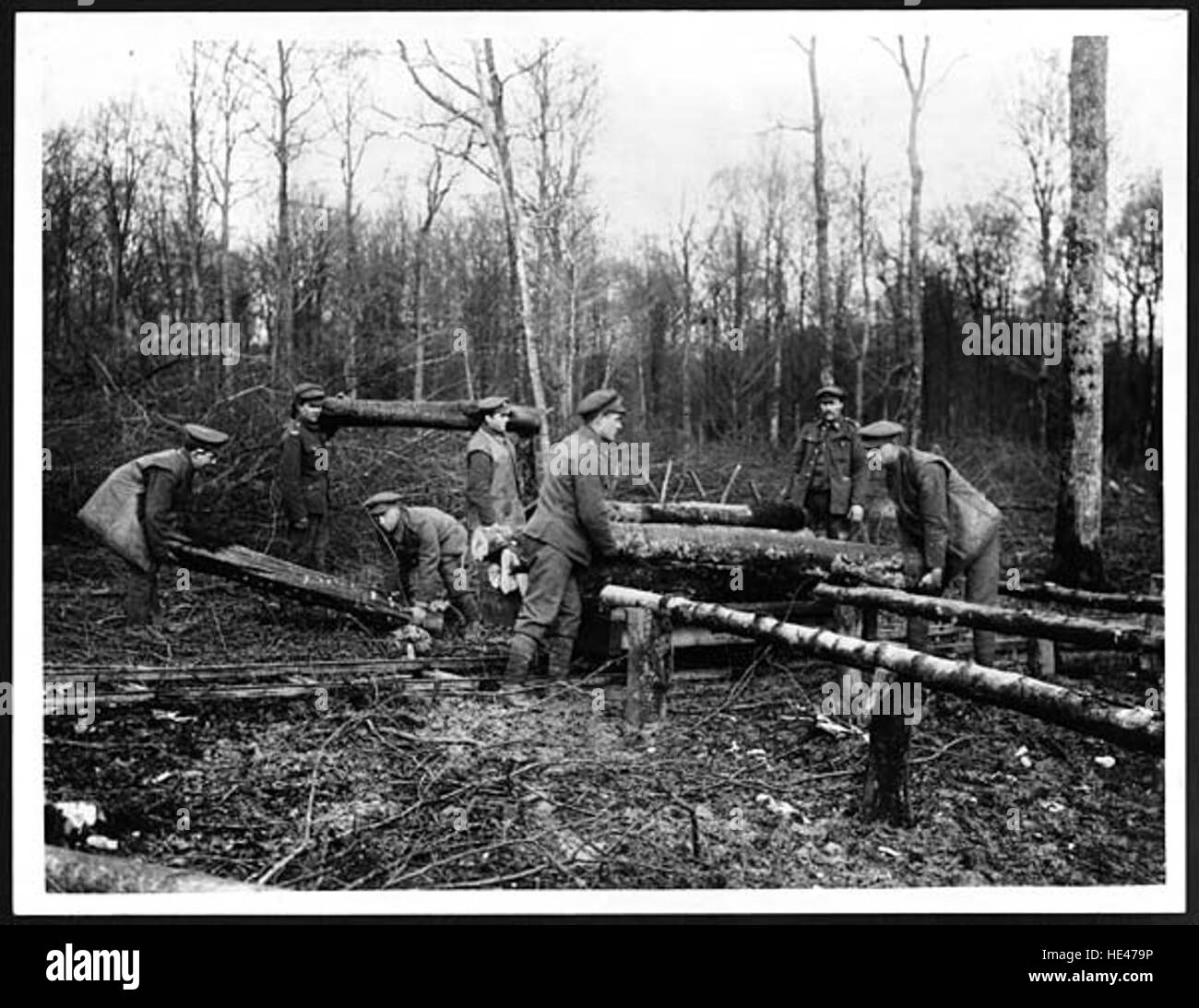 This historical image depicts the transfer of logs from a light railway ...