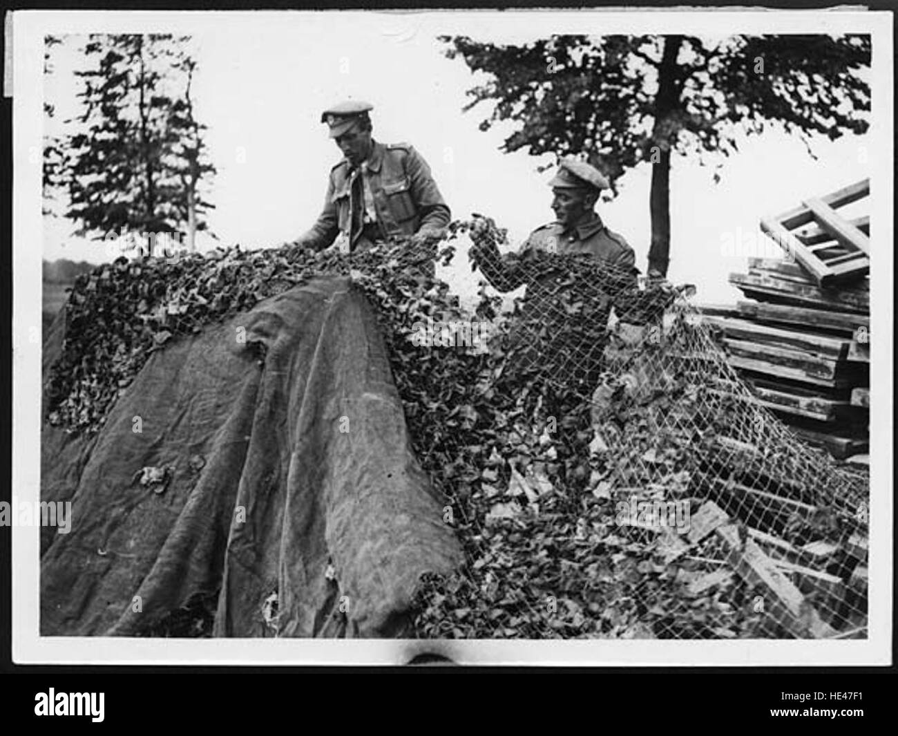 Camouflage strategies hi-res stock photography and images - Alamy