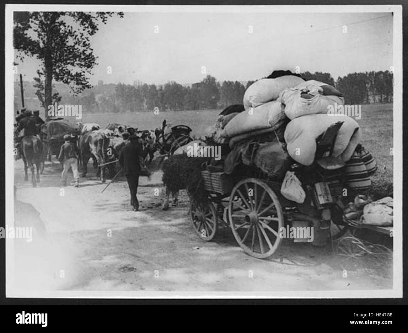 This historic photograph captures refugees returning to their homeland ...