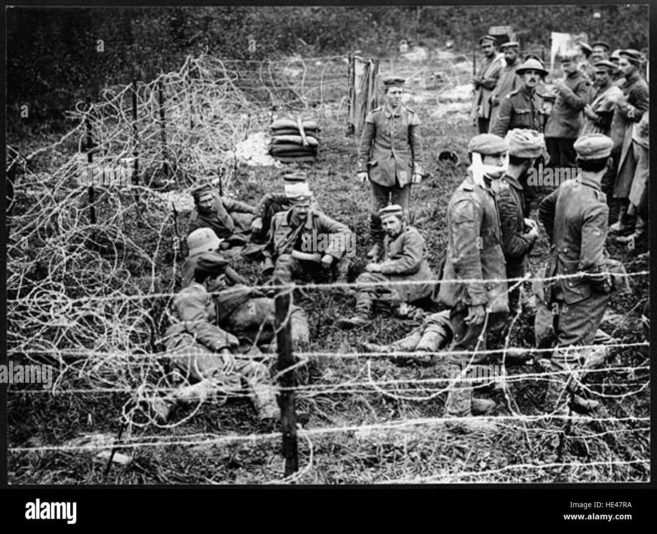 This historic image captures animals in captivity, possibly from a ...