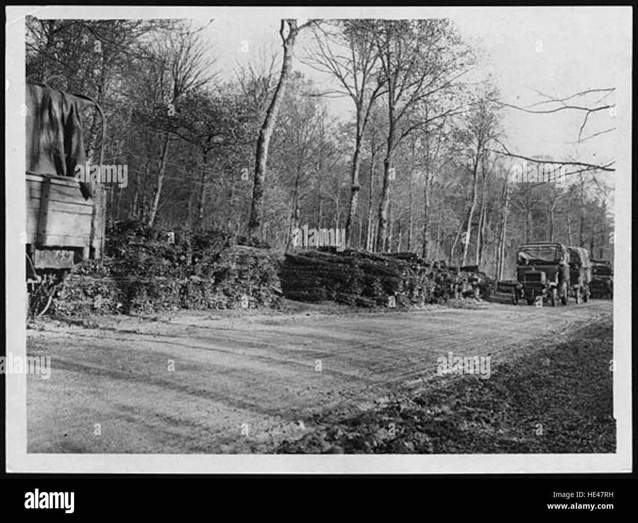 This photograph captures fascines, bundles of twigs used in military ...
