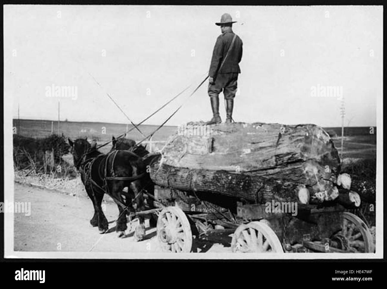 The american lumberman hi-res stock photography and images - Alamy