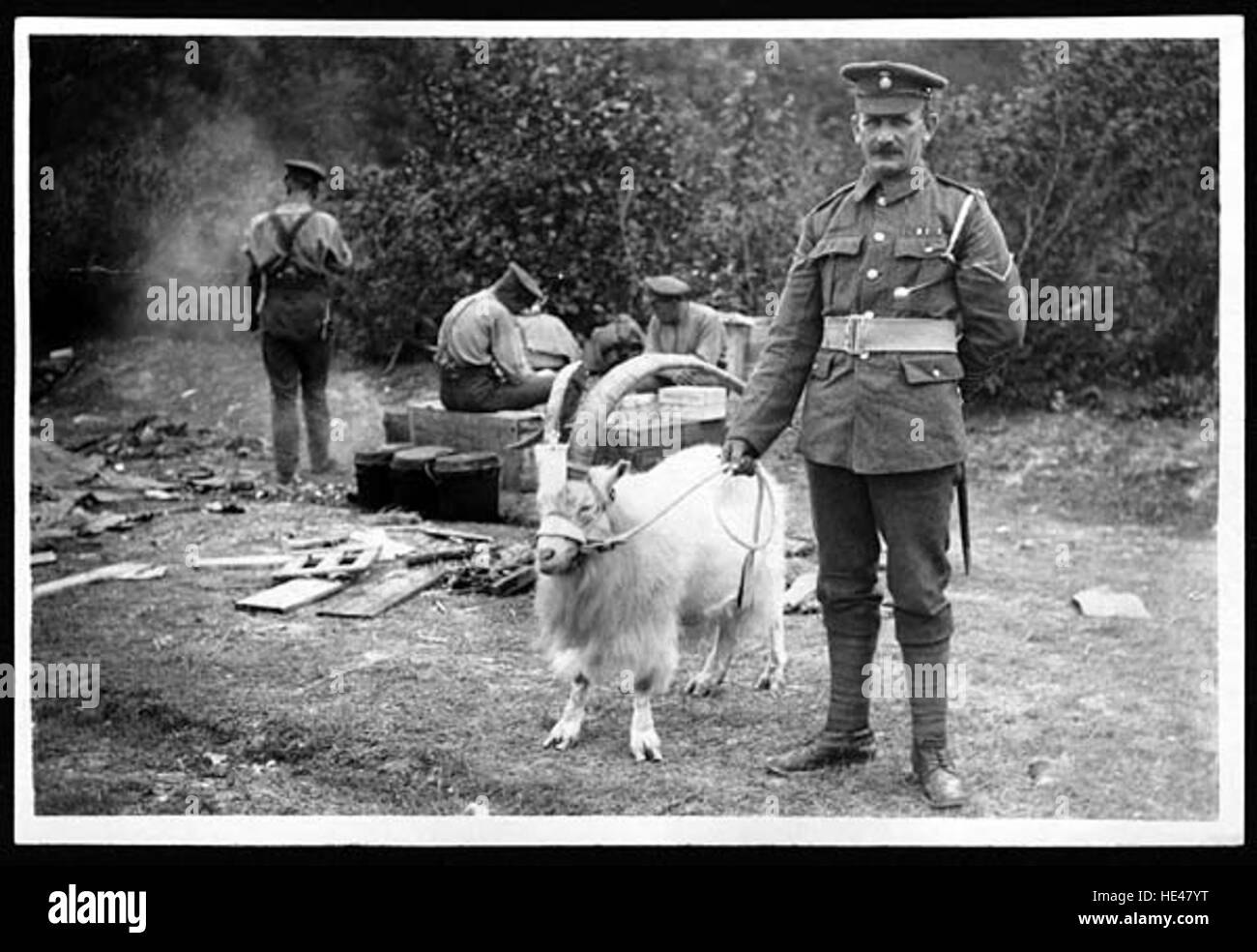 Mascot of the royal welsh fusiliers hi-res stock photography and images ...