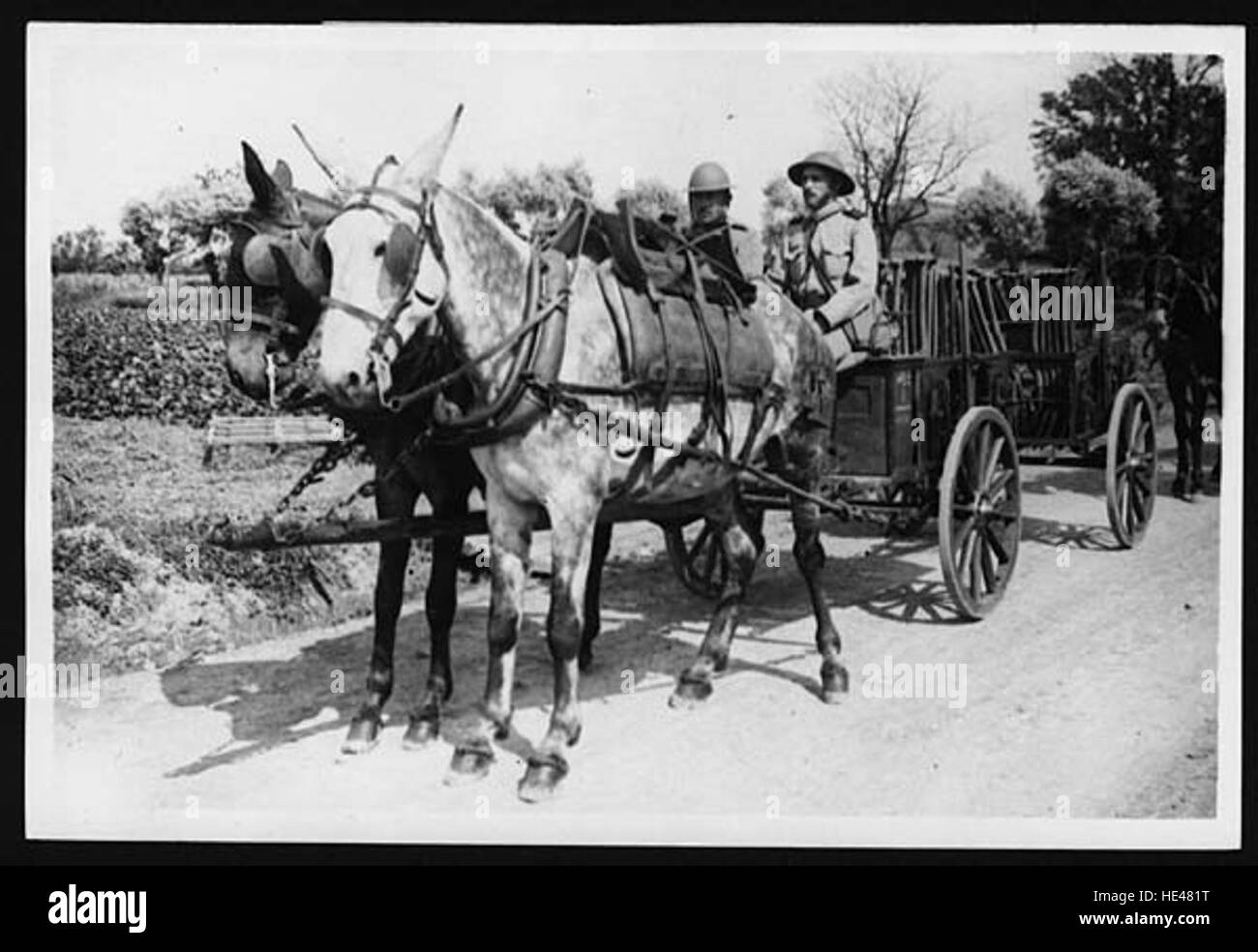 Limbers hi-res stock photography and images - Alamy