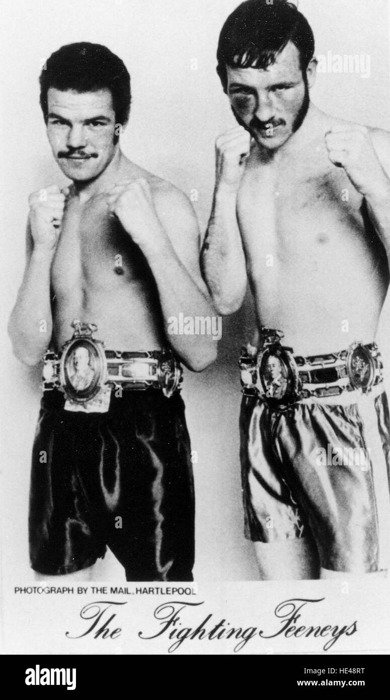 Cat in study Black and White Stock Photos & Images - Alamy