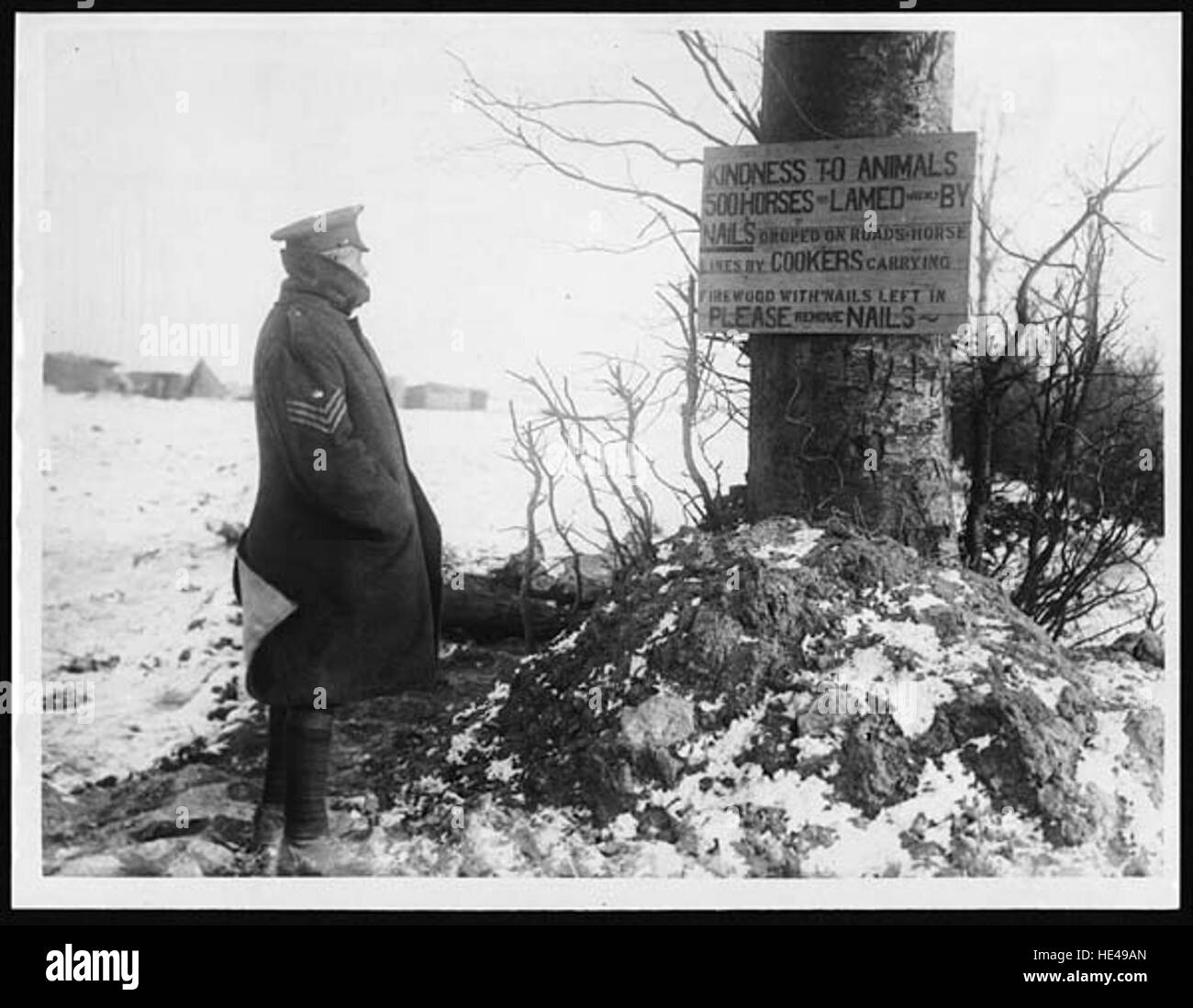 Kindness to animals hi-res stock photography and images - Alamy