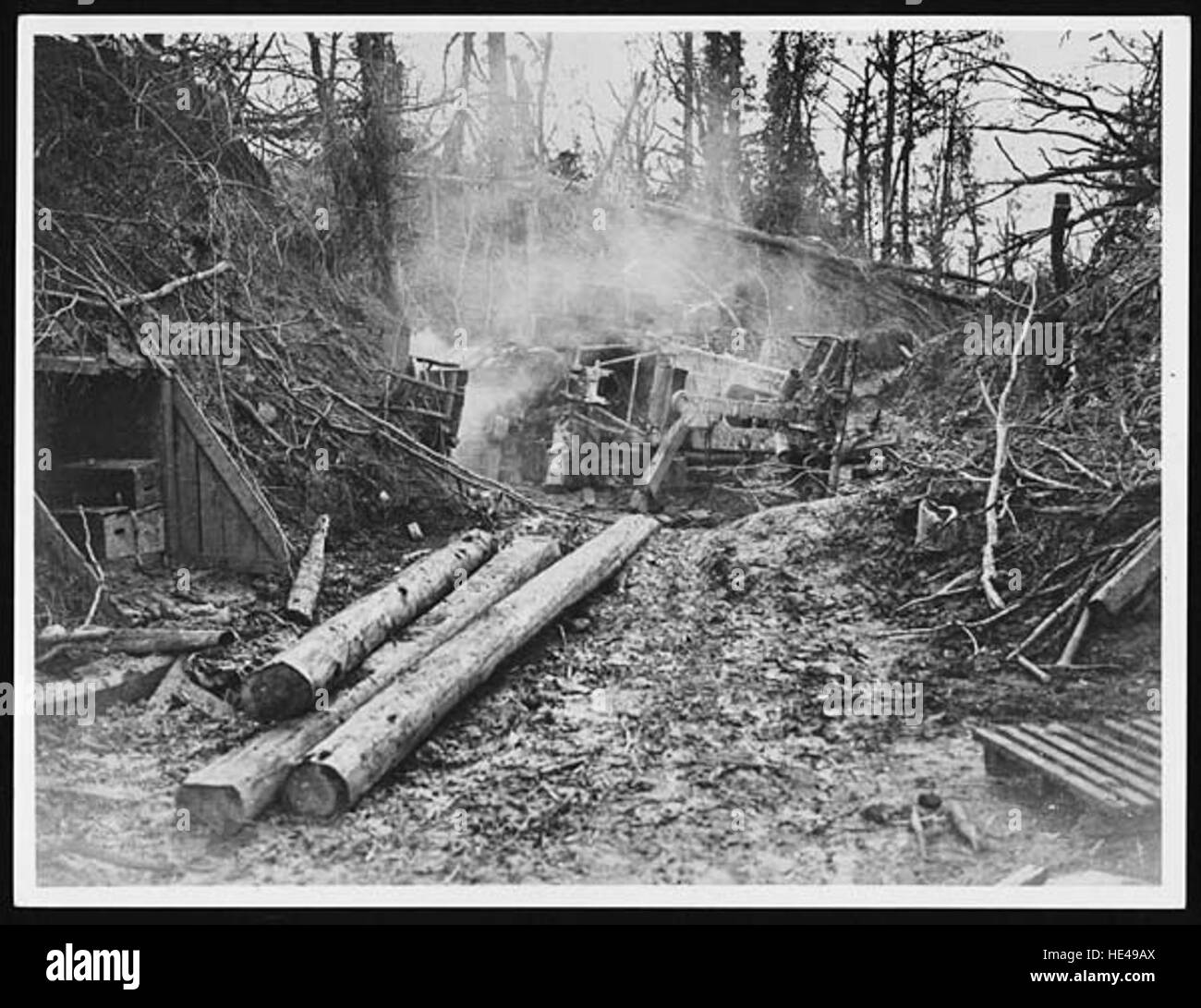 Living on wood Black and White Stock Photos & Images - Alamy