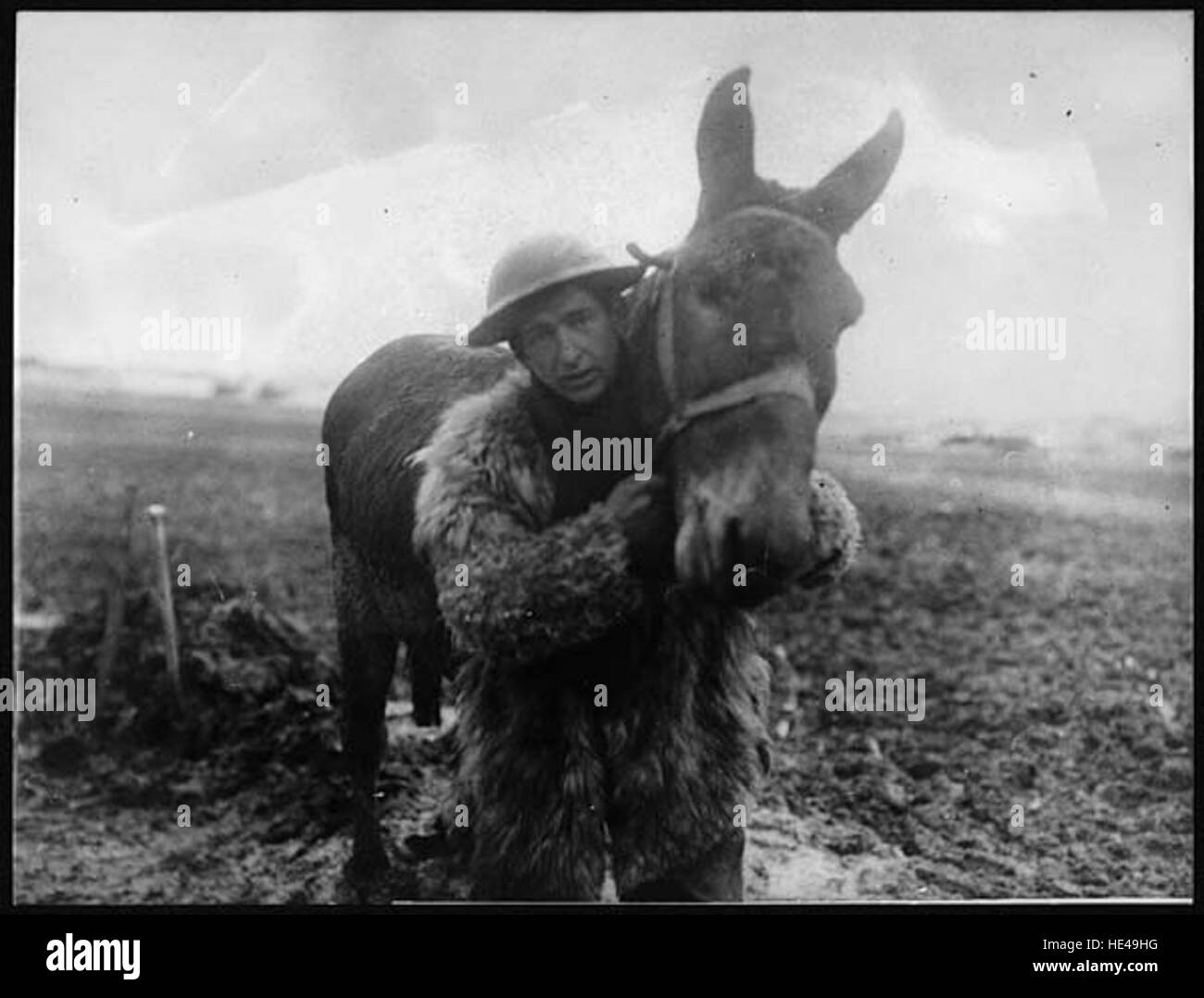 Am image hi-res stock photography and images - Alamy