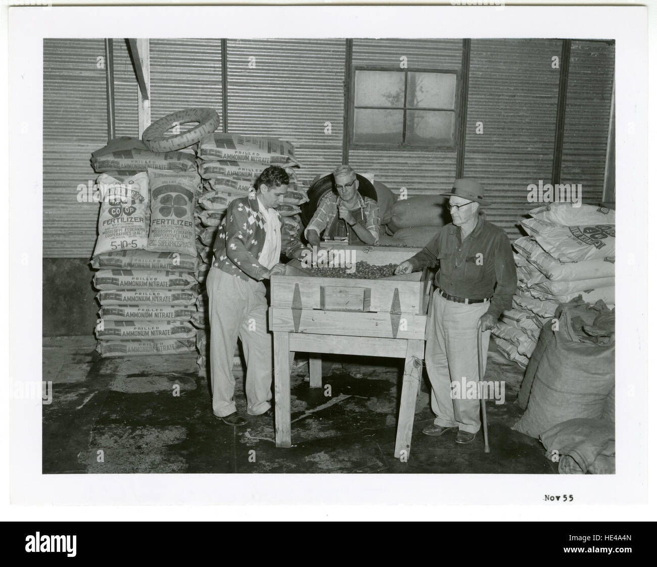 This image highlights the largest pecan market, an iconic event known ...