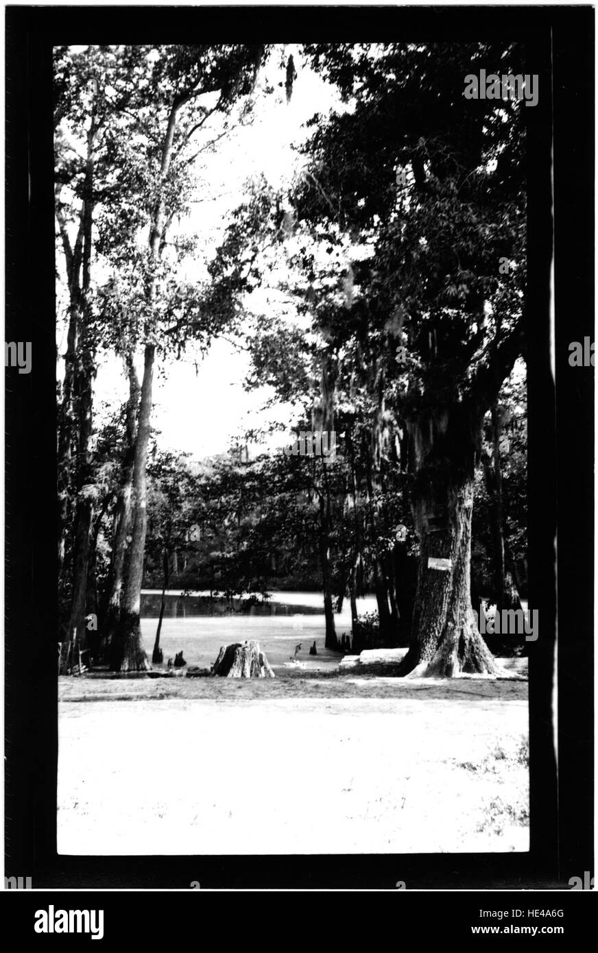 Photo from the trip Black and White Stock Photos & Images - Alamy