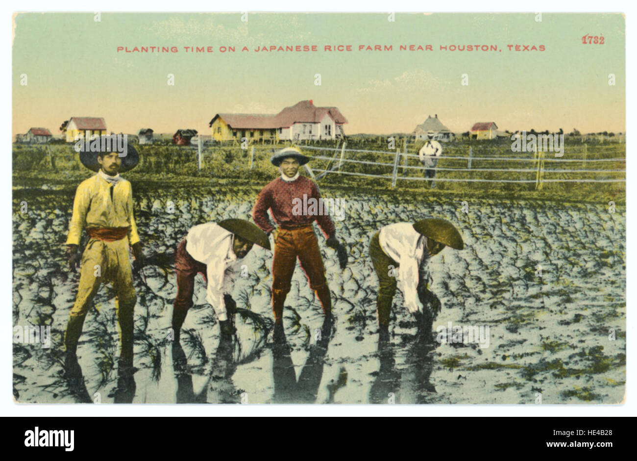 A photograph capturing the planting season on a Japanese rice farm near ...