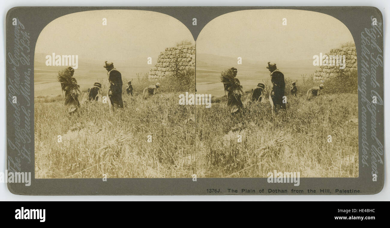 This vintage photograph depicts the Plain of Dothan, an important site ...