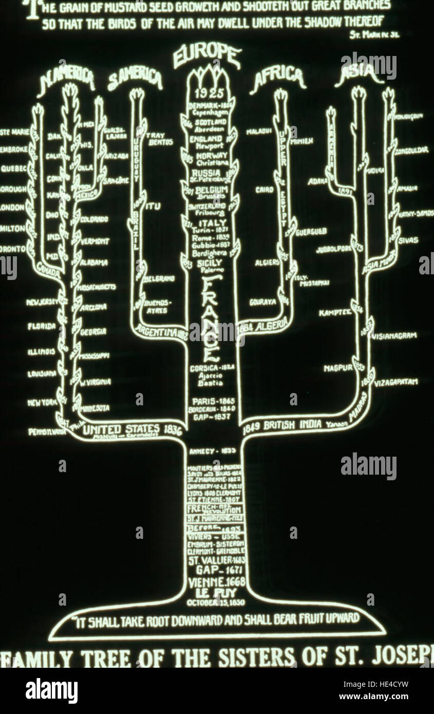 Family Tree-Sisters of St. Joseph Stock Photo - Alamy