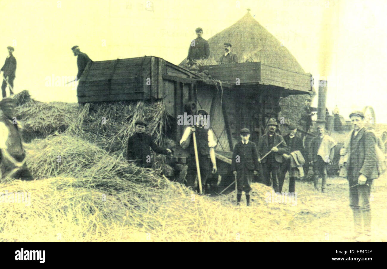 East Yorkshire farm workers making hay, circa 1905, historical ...